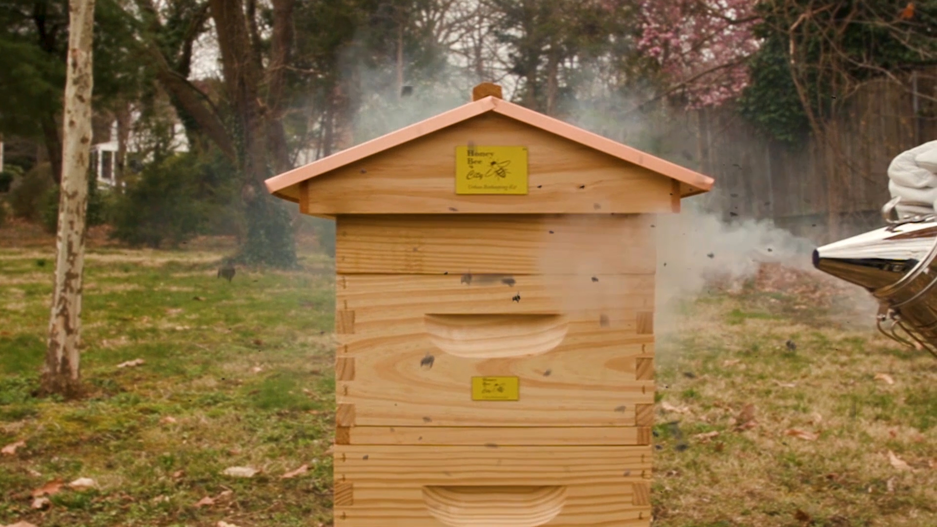 Honey Bee City – Helping Honey Bees Thrive in Urban and Suburban Hives ...