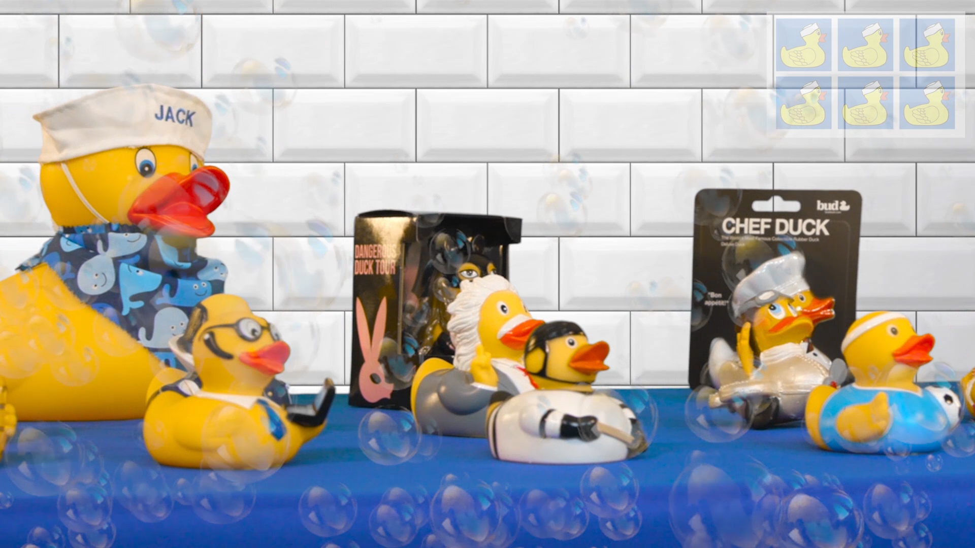 Ducks in the Window - Every Rubber Duck You Could Ever Imagine ...